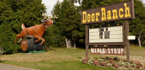 Deer Ranch