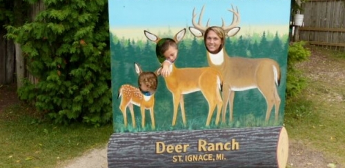Deer Ranch