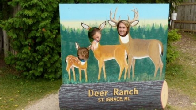 Deer Ranch
